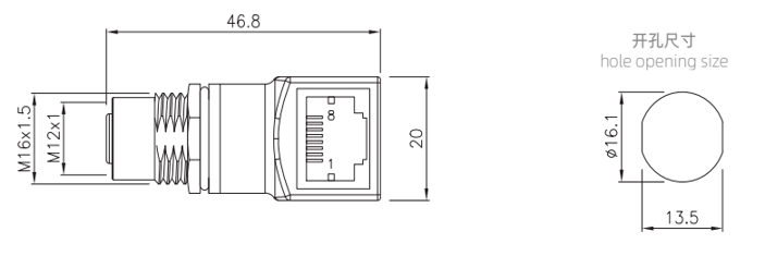 D-Coded M12 to RJ45 Adapter | IP67 Waterproof Ethernet | Fremi